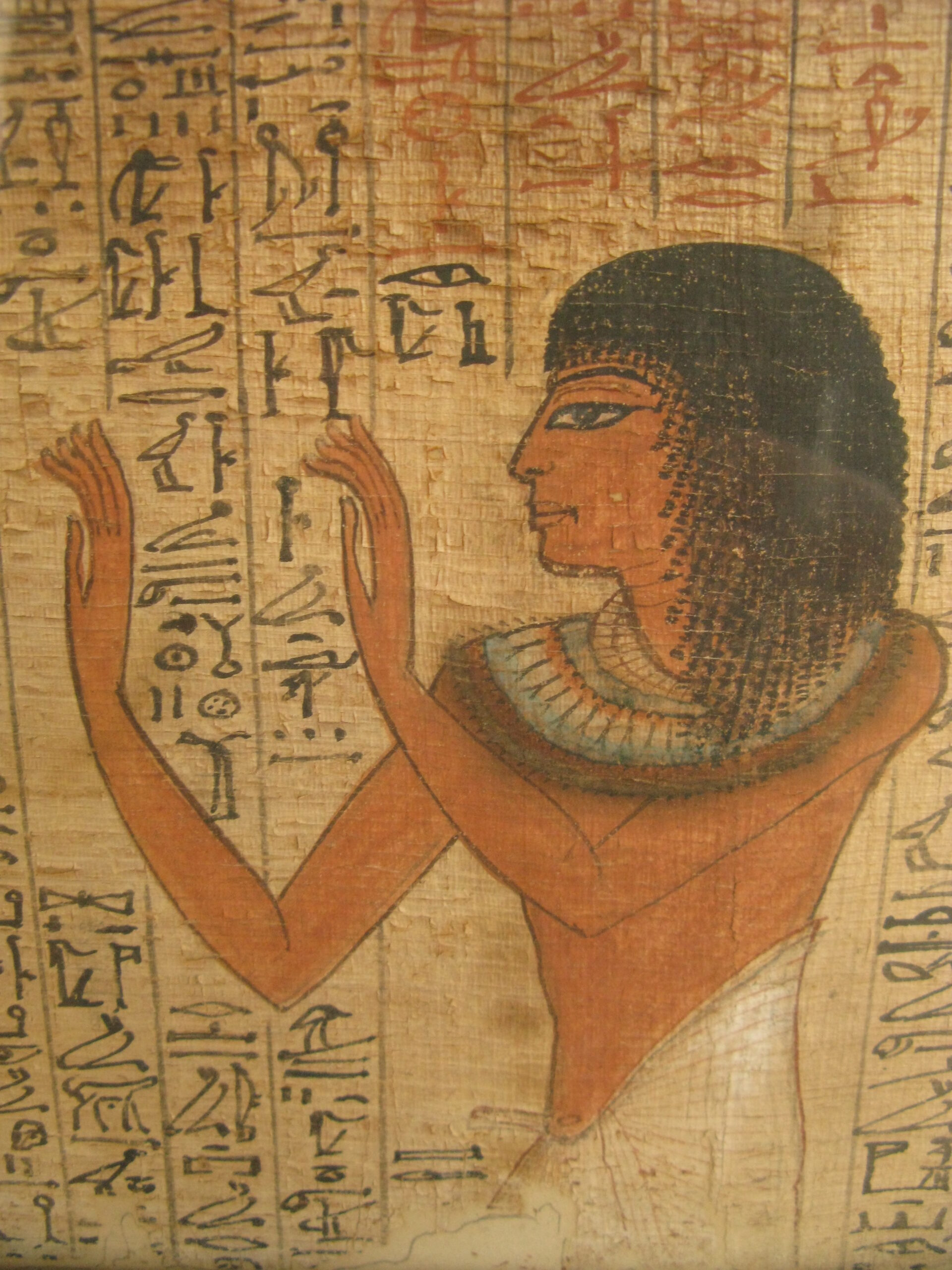 Musea: België - Stichting Mehen